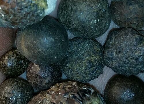 KANSAS POP ROCK PAIR – TRUE NATURE STORE